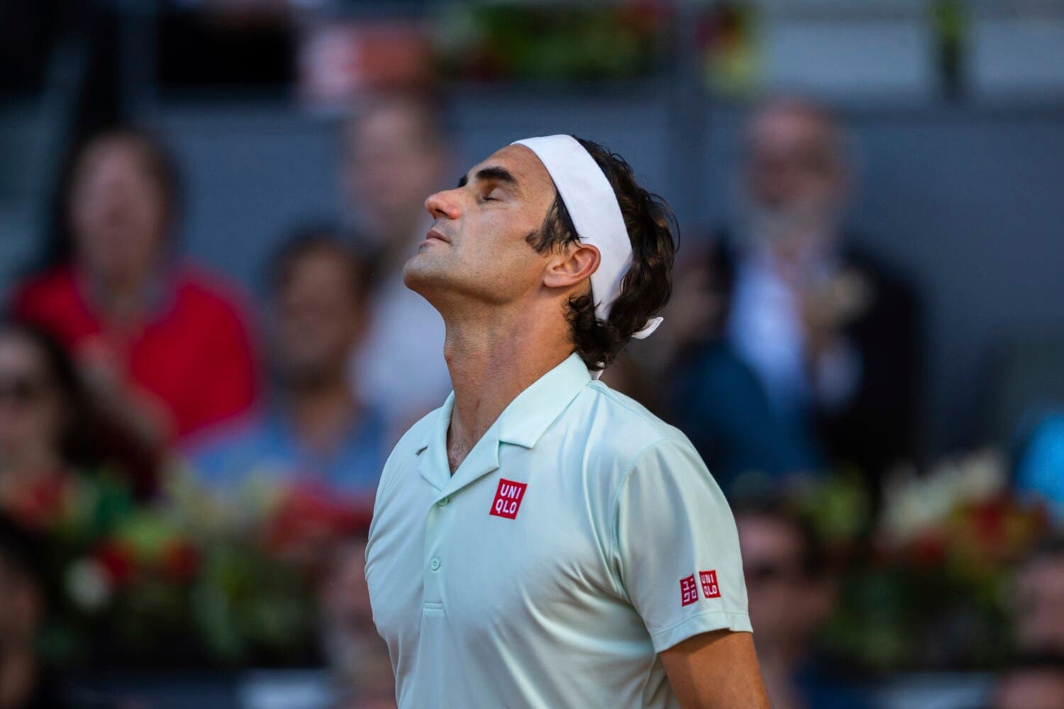 Federer se ha vuelto a operar la rodilla derecha y no jugará este ...